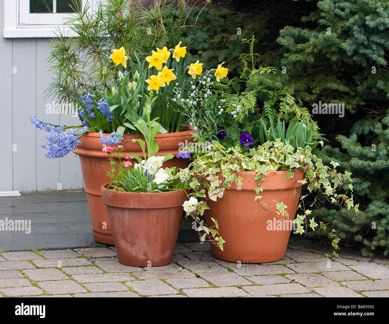 Three clay pots sitting on a stone veranda filled with flowers Stock ...