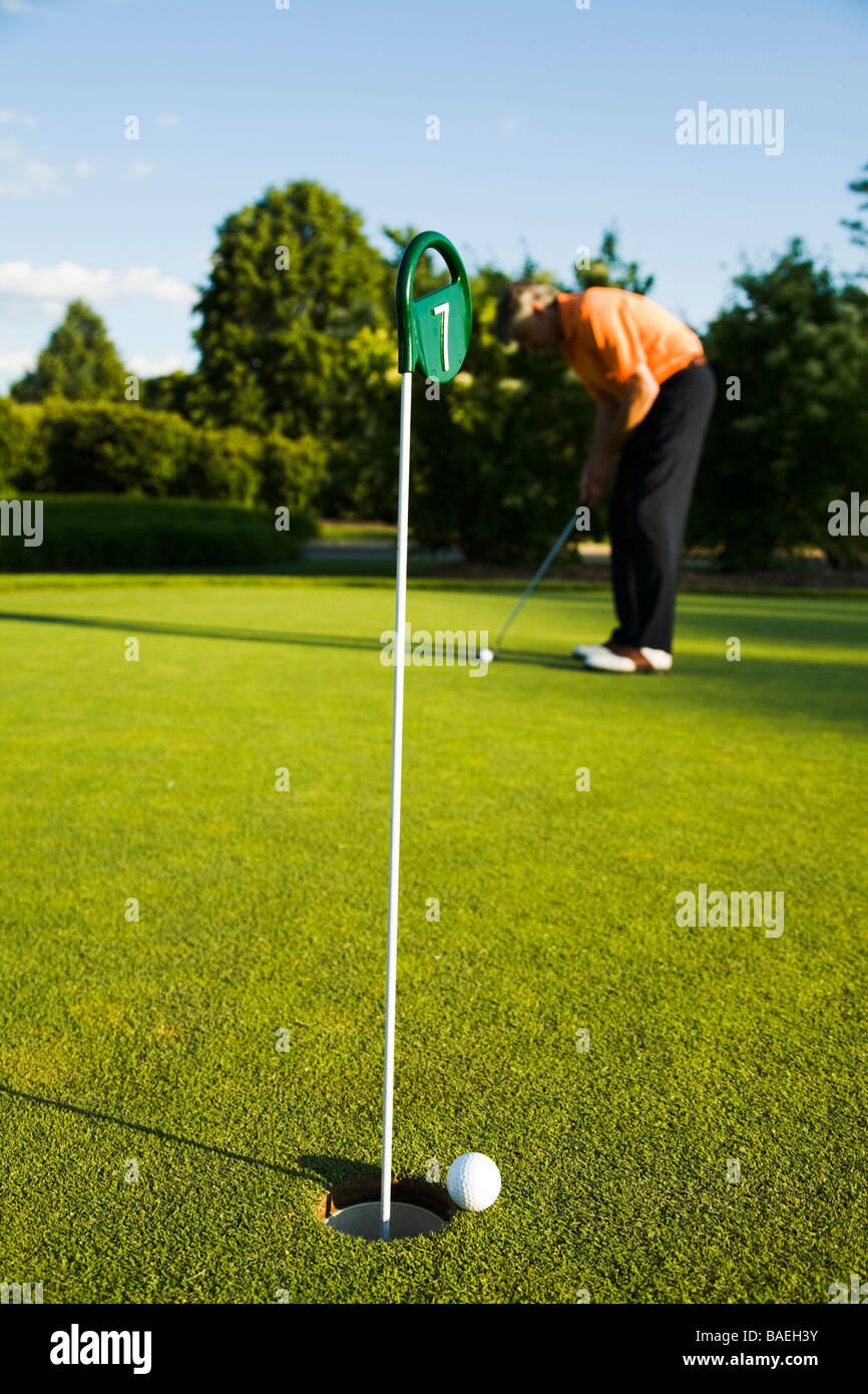 GOLF Adult middle aged male practice putting on green at public course ...