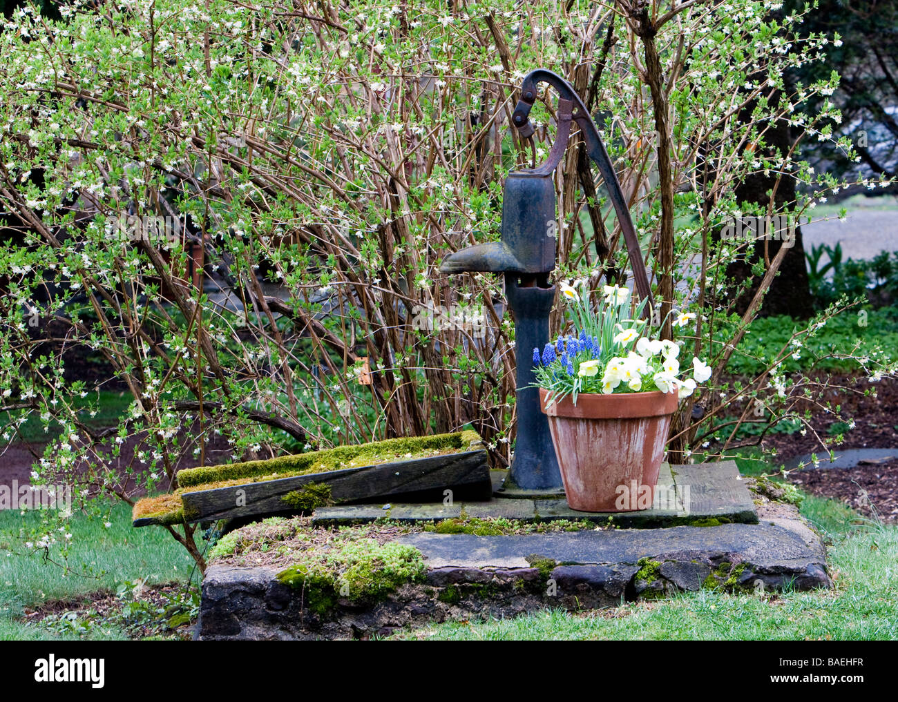 AN ANTIQUE GARDEN HAND PUMP Stock Photo - Alamy