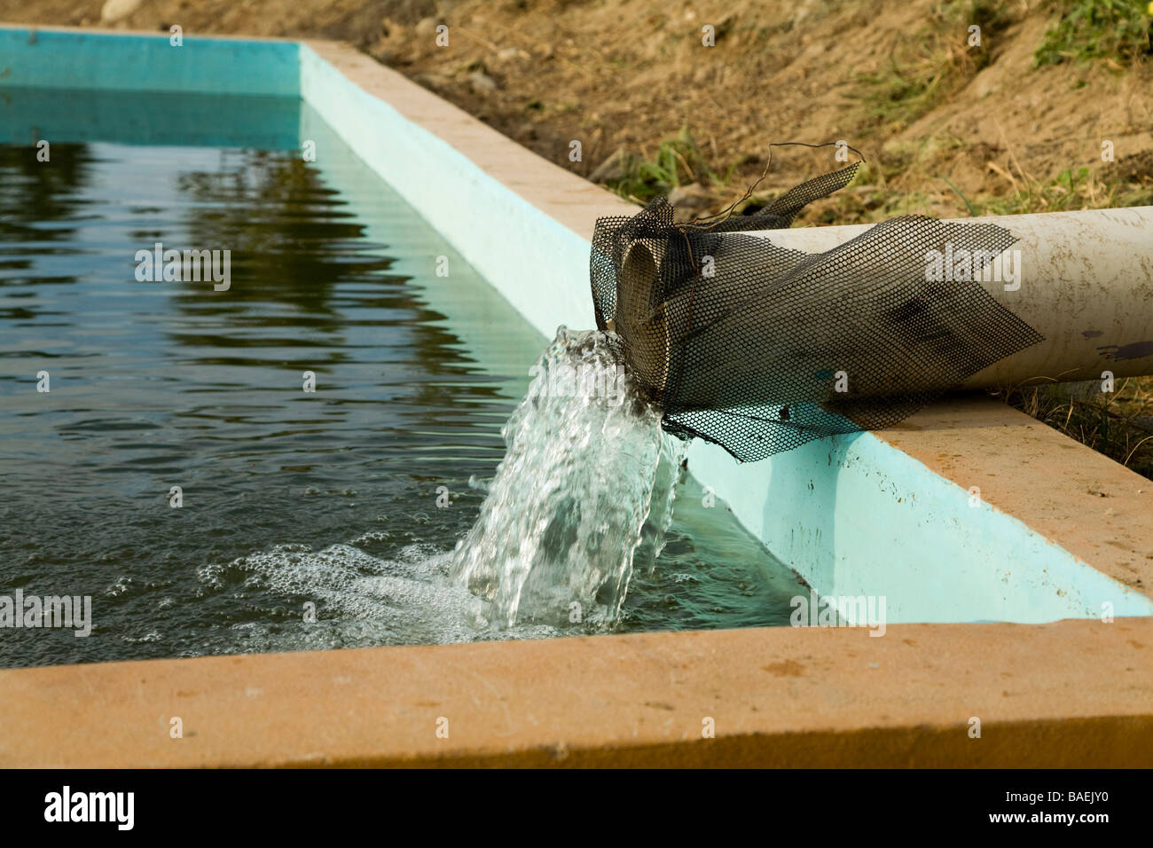 MEXICO Todos Santos Water flowing out of pipe into holding tank for ...