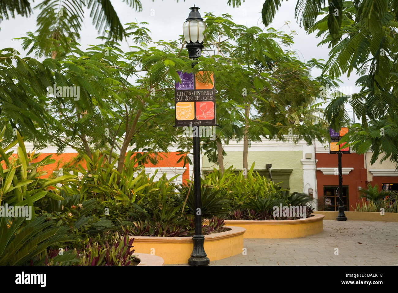 MEXICO San Jose del Cabo Banners hanging from lampposts in downtown ...