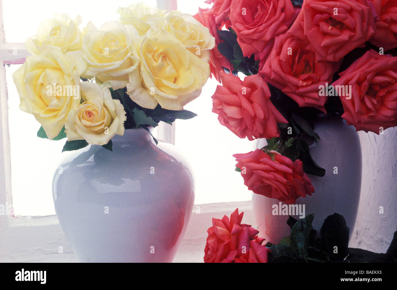 Two vases of roses Stock Photo - Alamy