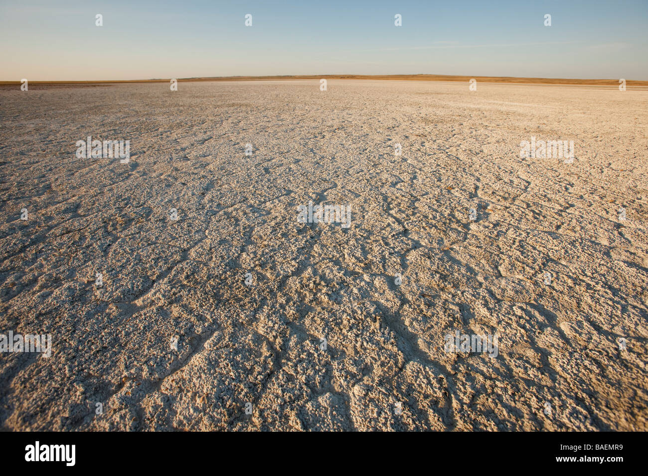 Dry ground reaching into the horizon Stock Photo - Alamy