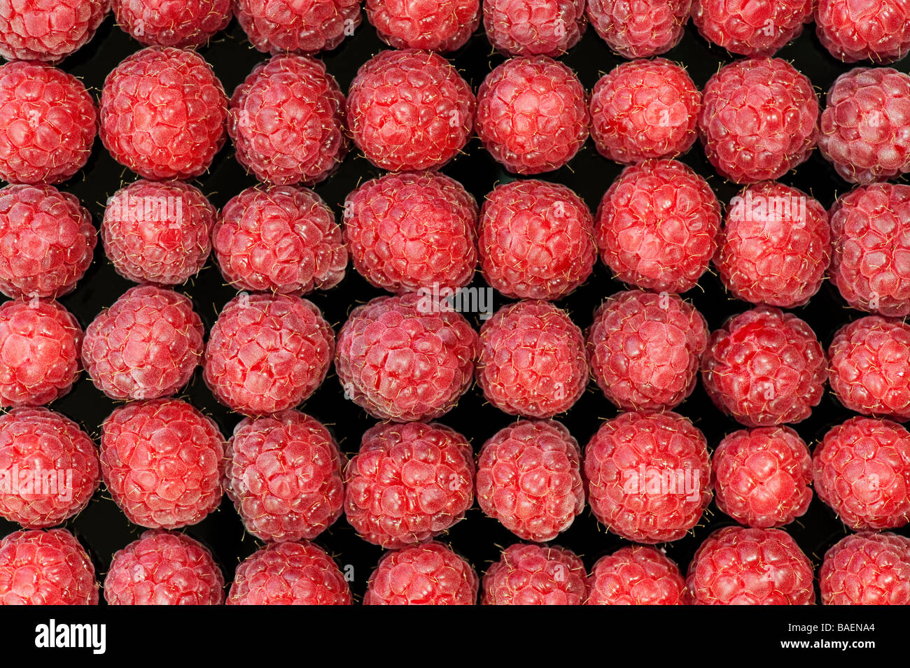 Rubus idaeus. Raspberry fruit pattern Stock Photo - Alamy