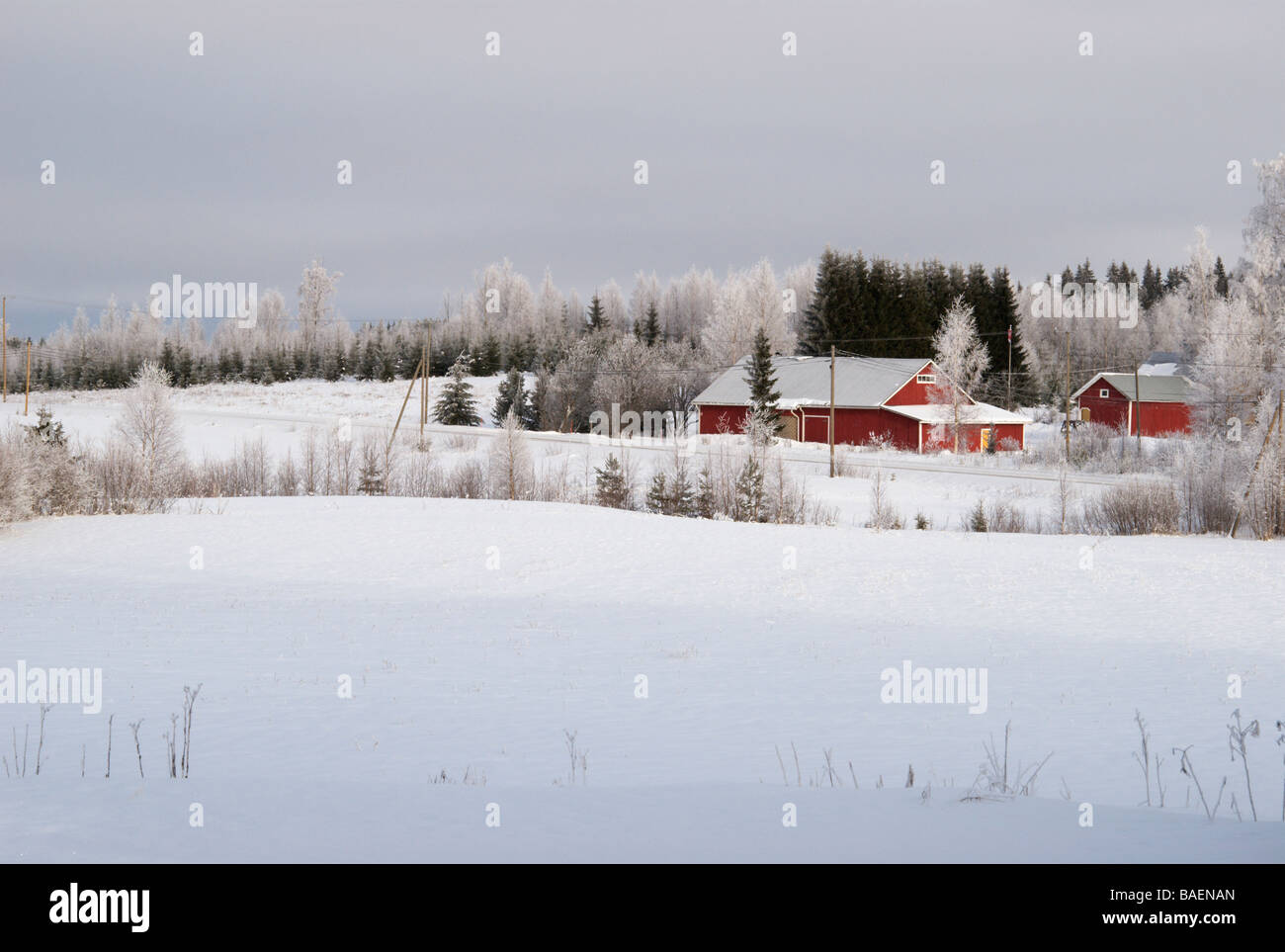 Countryside in eastern Finland Stock Photo - Alamy