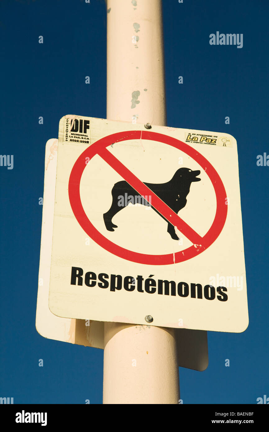 MEXICO La Paz Dogs prohibited sign in Spanish posted in post red circle ...