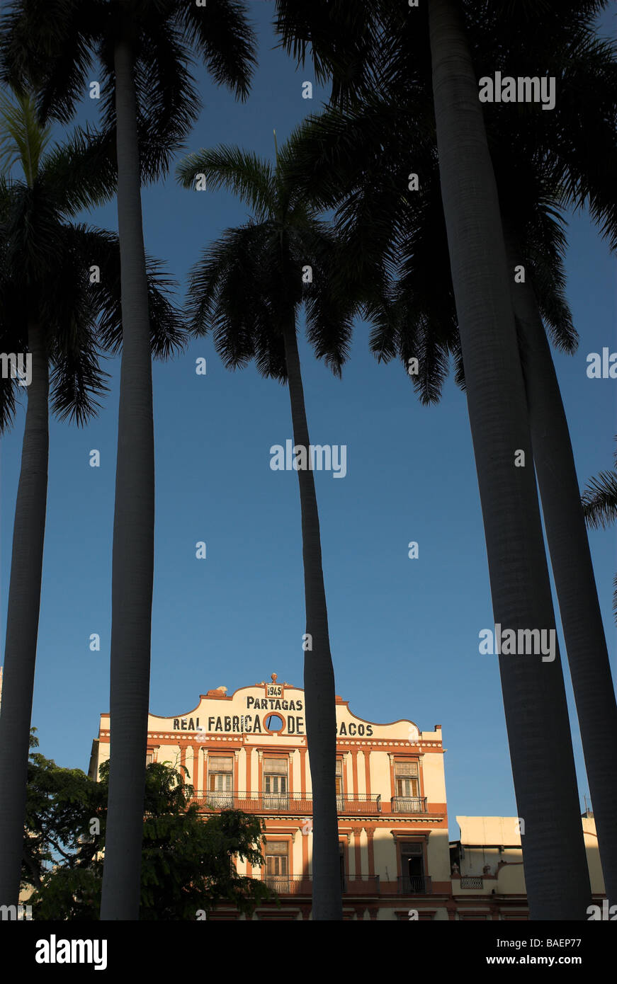 Partagas cigar factory, Havana, Cuba Stock Photo - Alamy