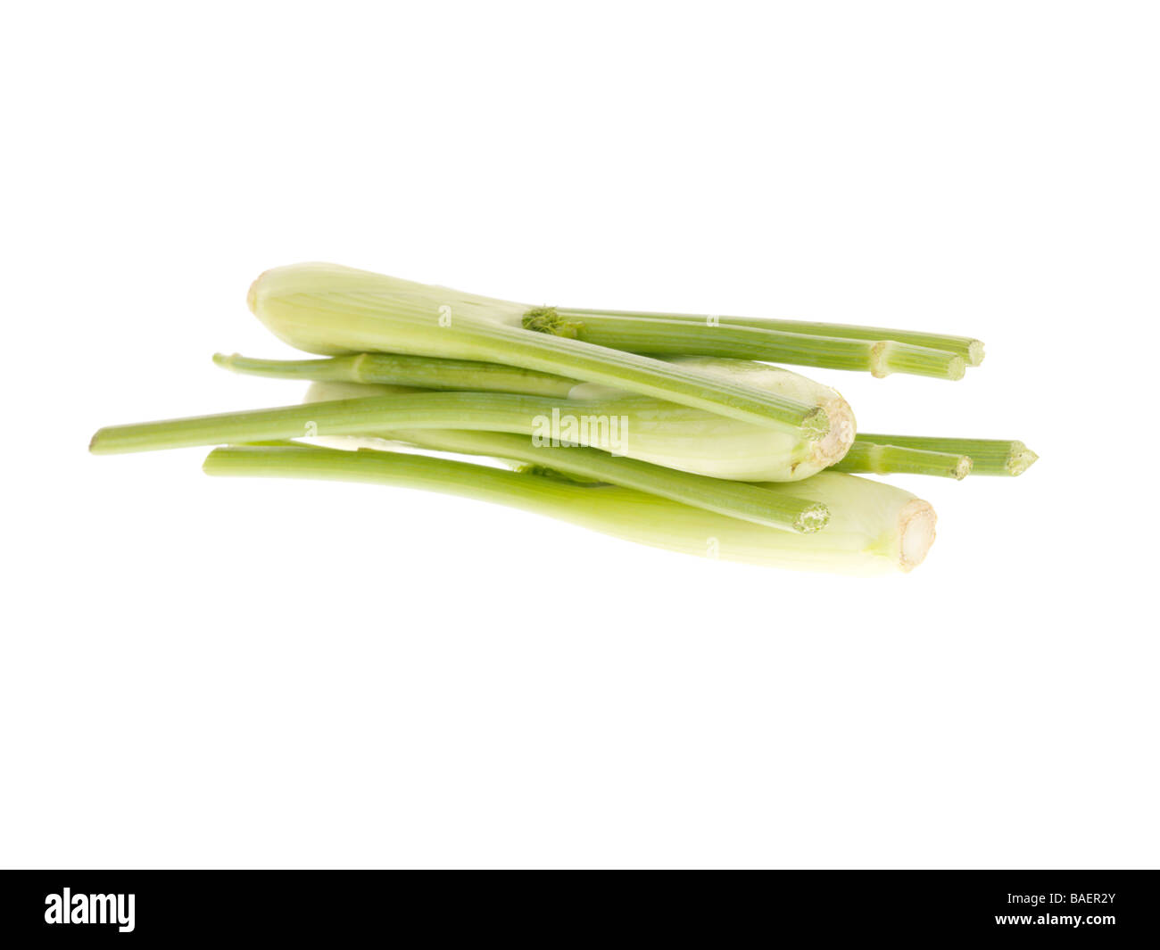 Baby fennel hi-res stock photography and images - Alamy