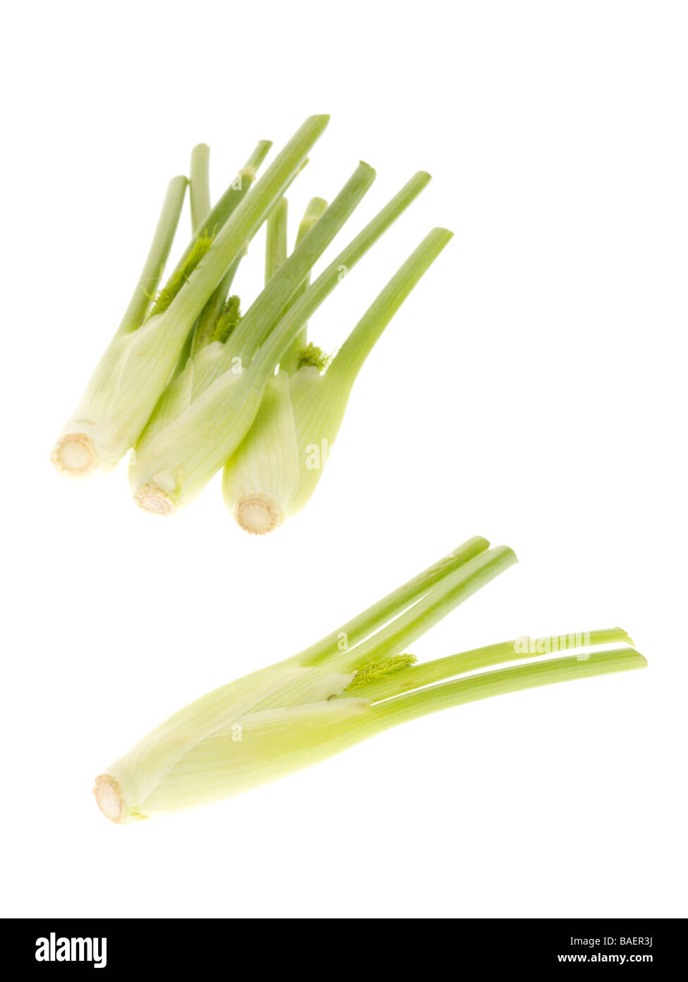 Baby fennel hi-res stock photography and images - Alamy