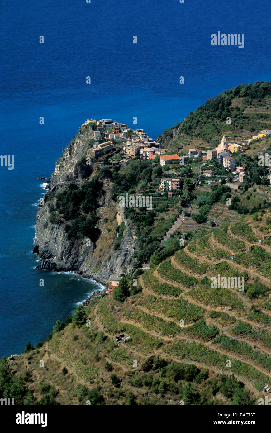 Coast, Corniglia, Cinque Terre, Ligury, Italy Stock Photo - Alamy