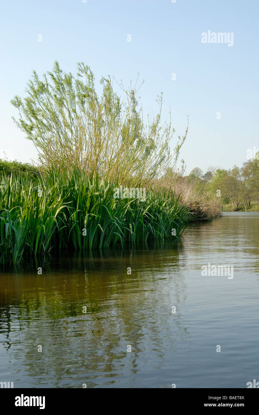 Thames riverbank hi-res stock photography and images - Alamy
