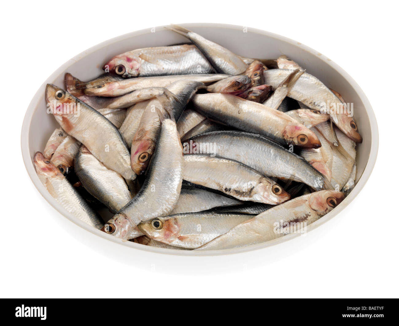 Landed seafood Cut Out Stock Images & Pictures - Alamy