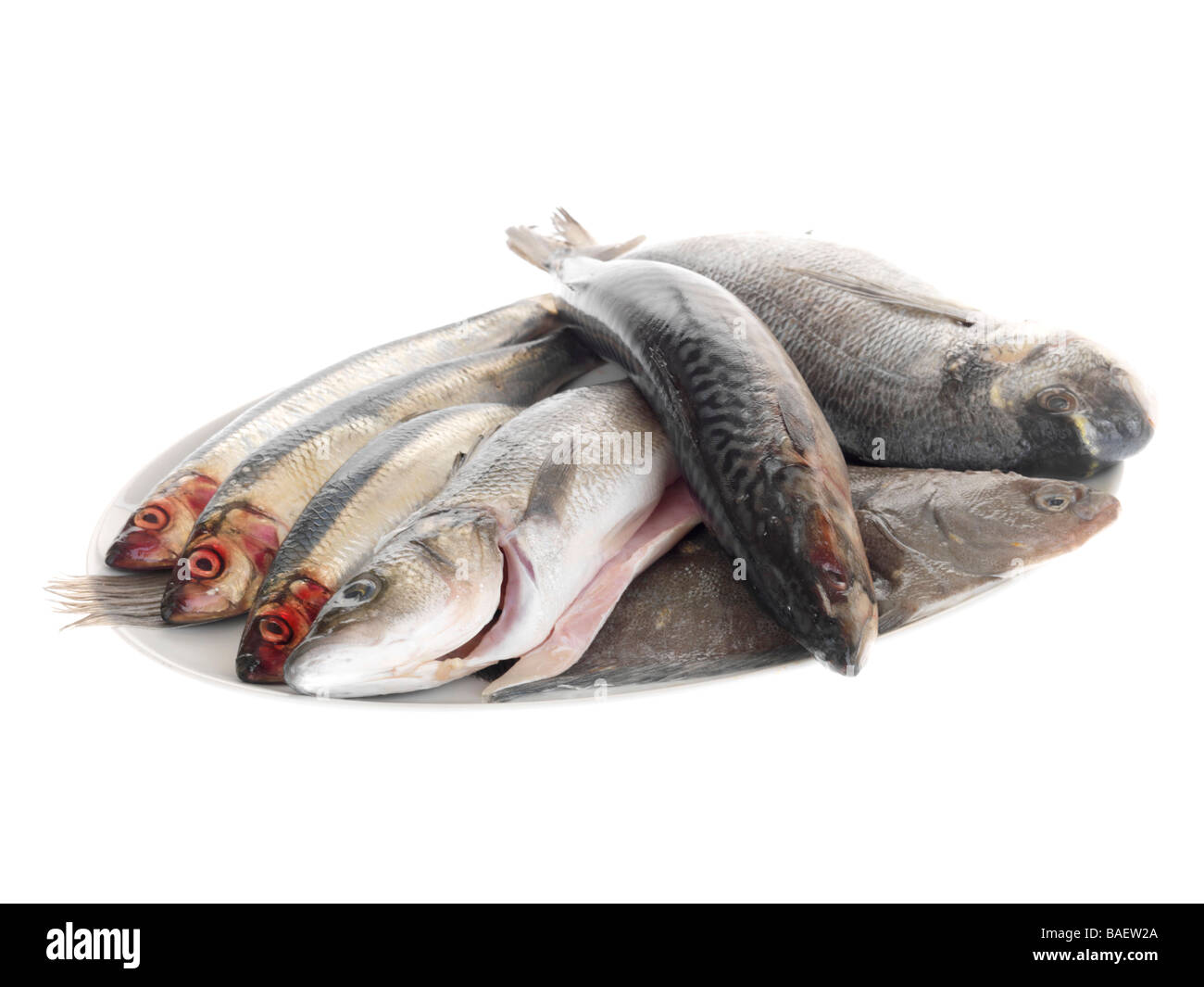 Selection of fishes Cut Out Stock Images & Pictures - Alamy