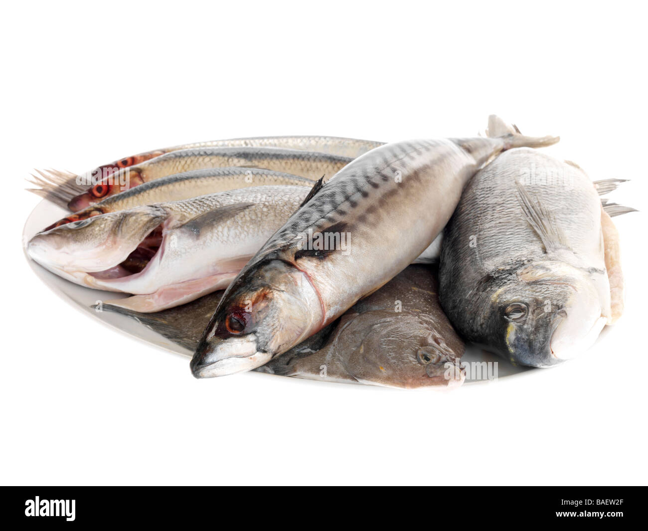 Savory selection Cut Out Stock Images & Pictures - Alamy