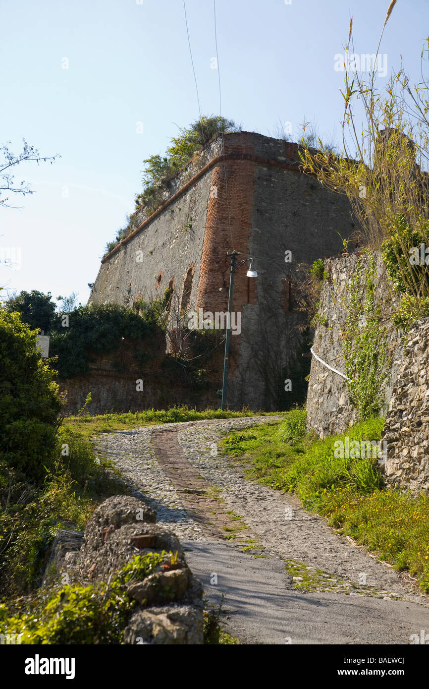 Crocetta hi-res stock photography and images - Alamy