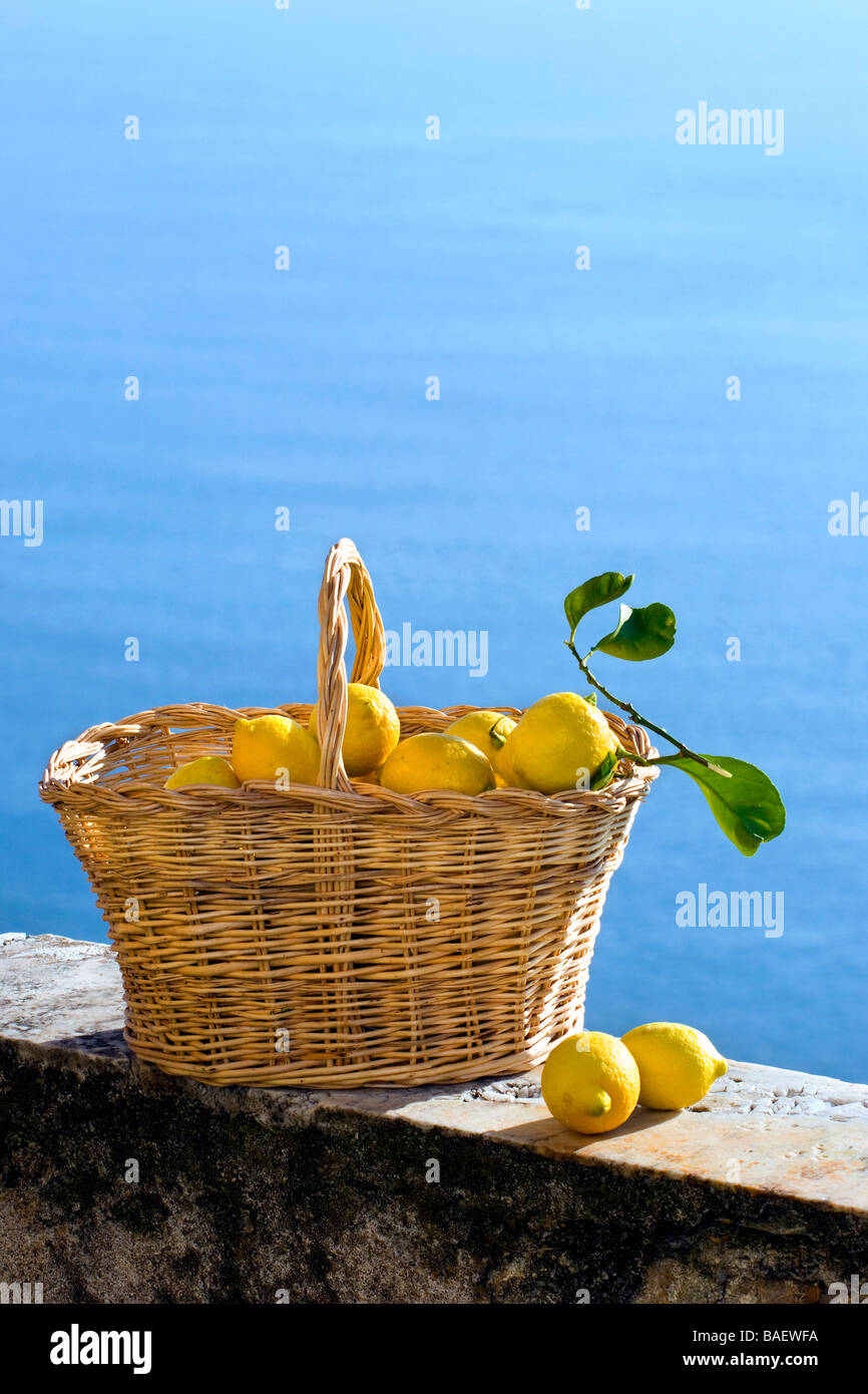 Lemon, Riviera di Ponente, Liguria, Italy Stock Photo - Alamy