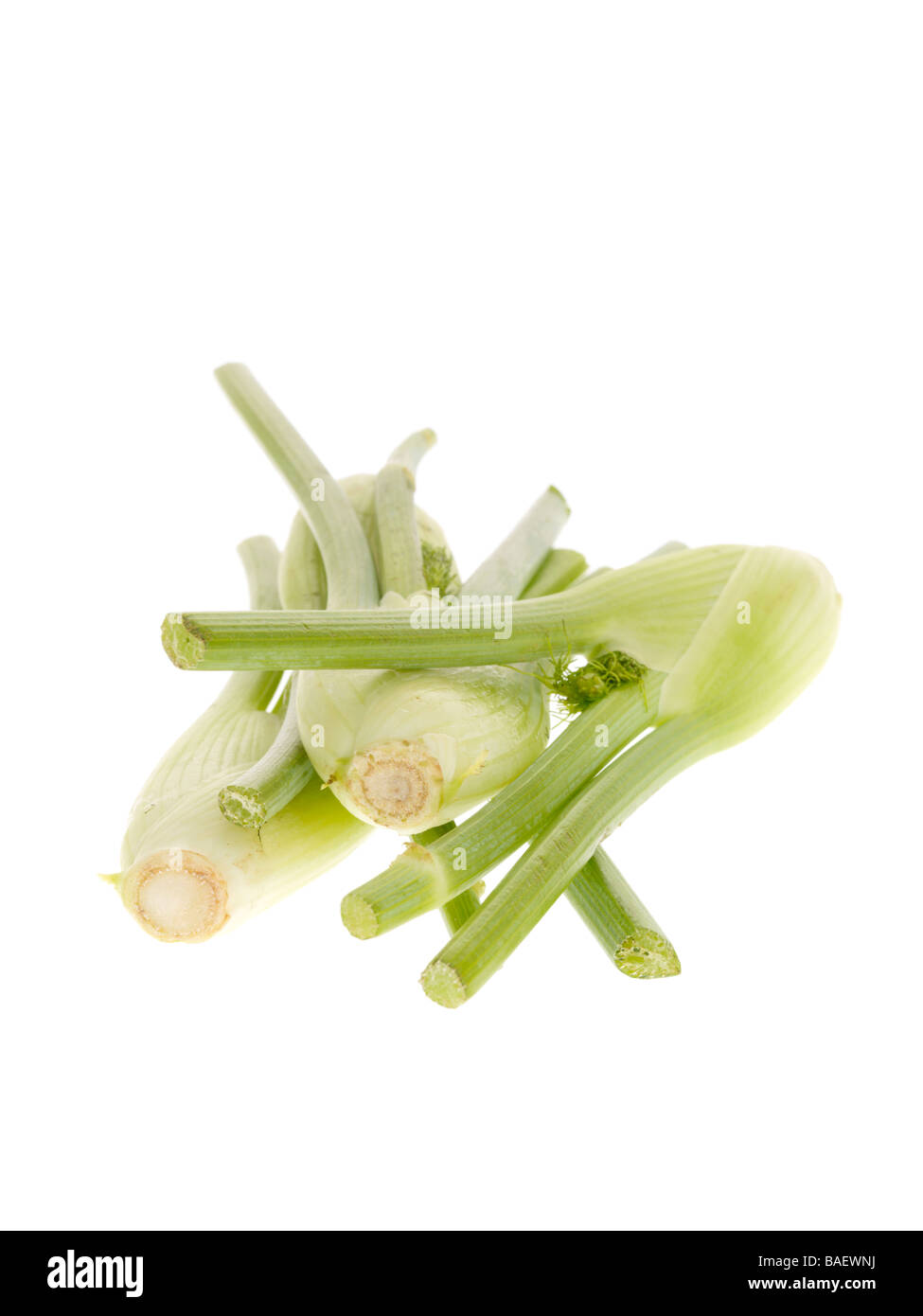 Baby fennel hi-res stock photography and images - Alamy