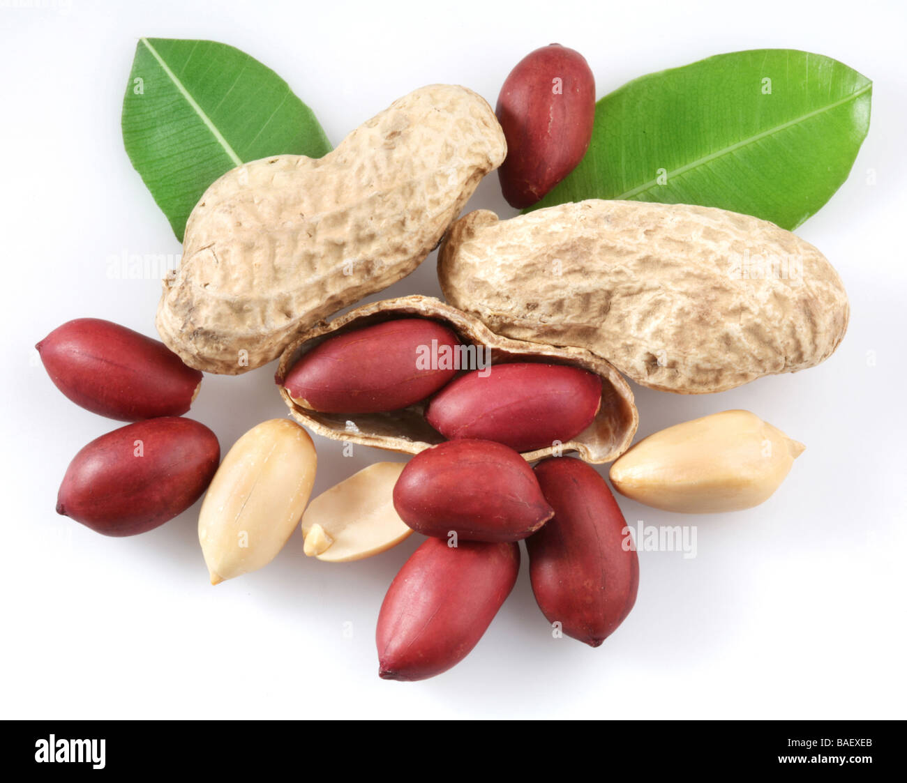 Peanut with pods and leaves on a white background Stock Photo - Alamy
