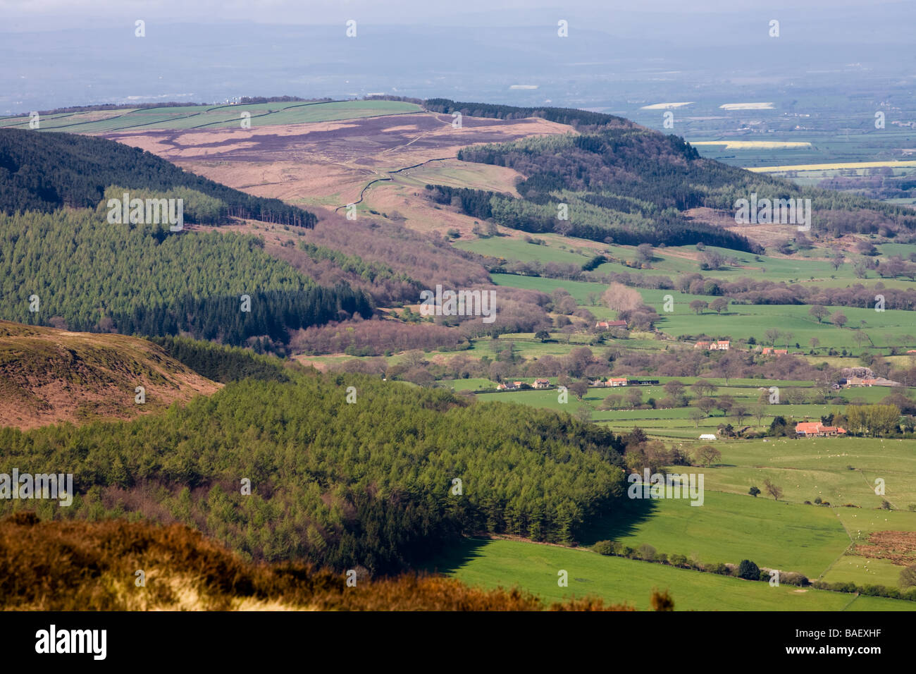 Scarth wood hi-res stock photography and images - Alamy