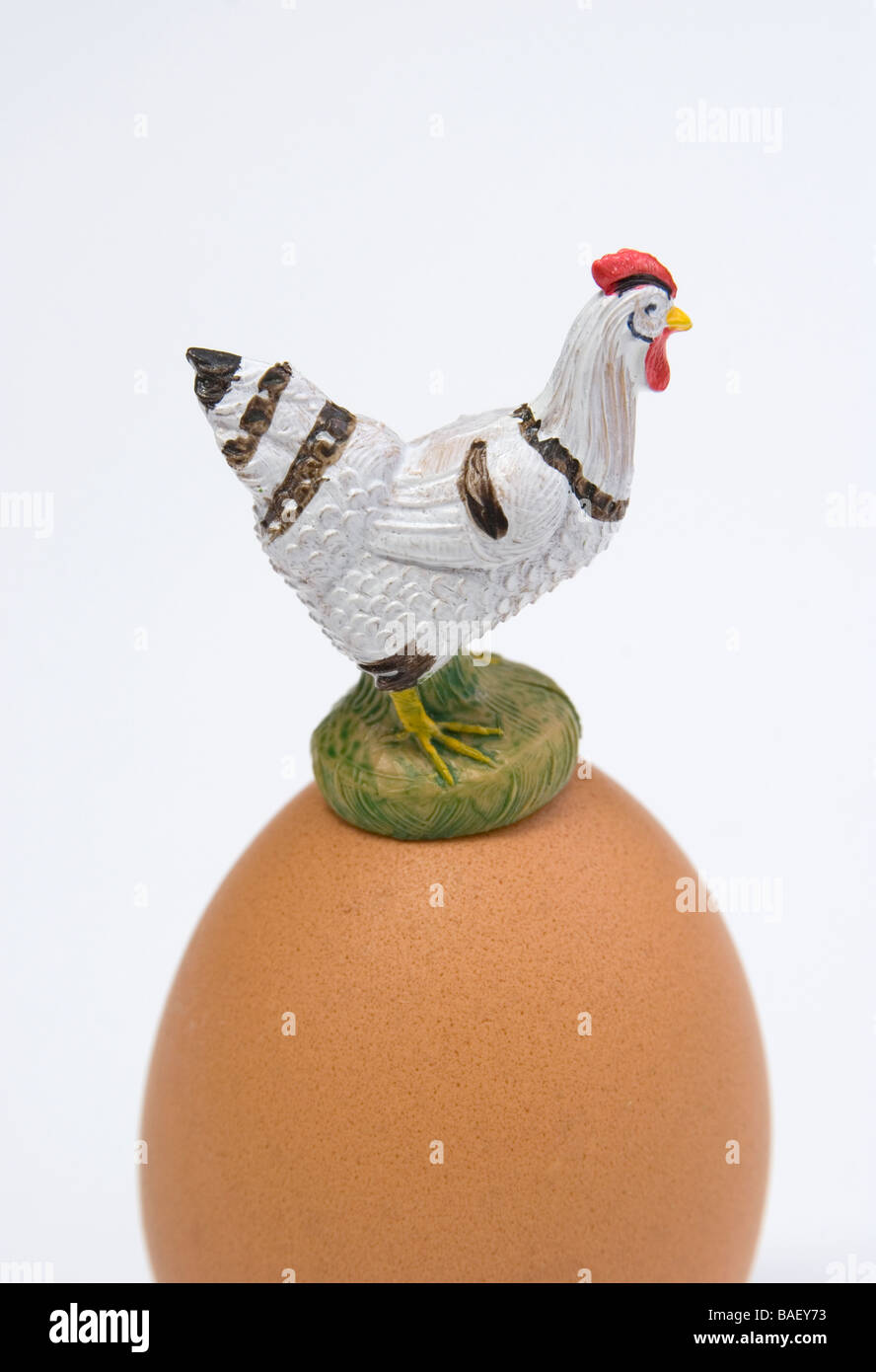 Chicken humor hi-res stock photography and images - Alamy