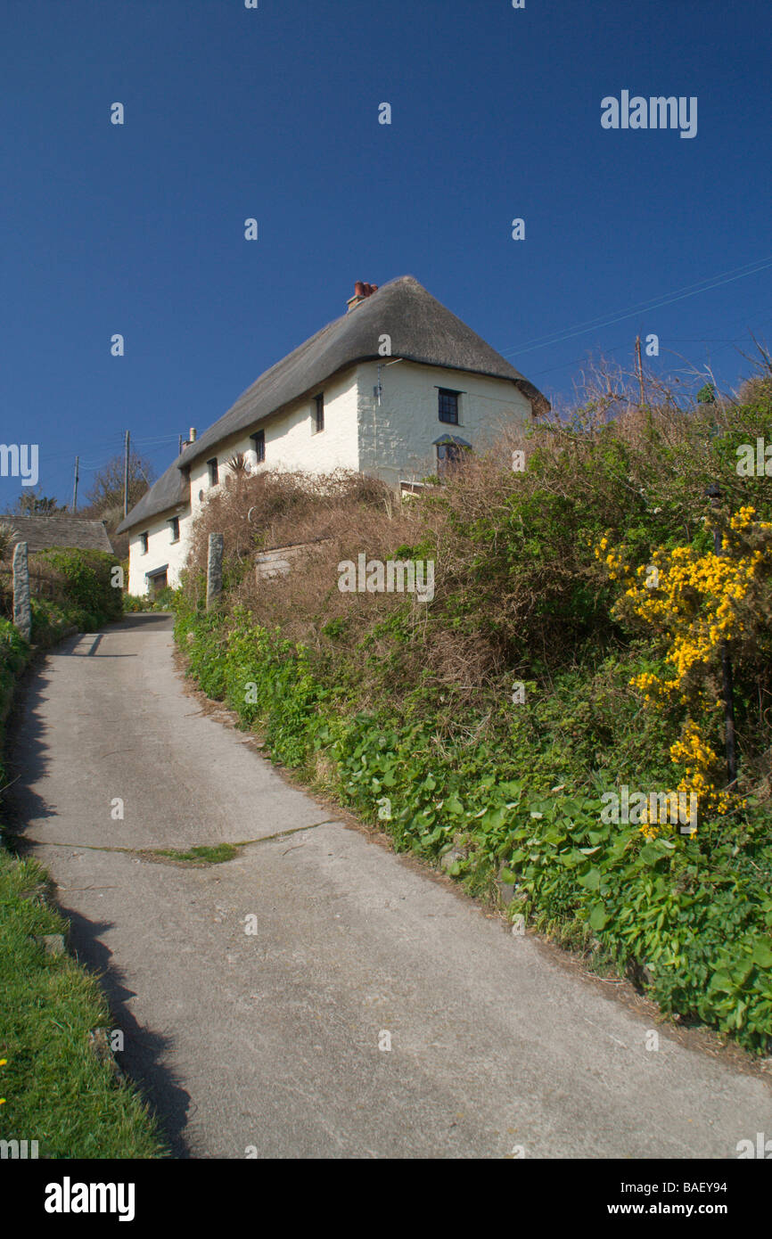 Cornwall thatched cottage roof hi-res stock photography and images - Alamy