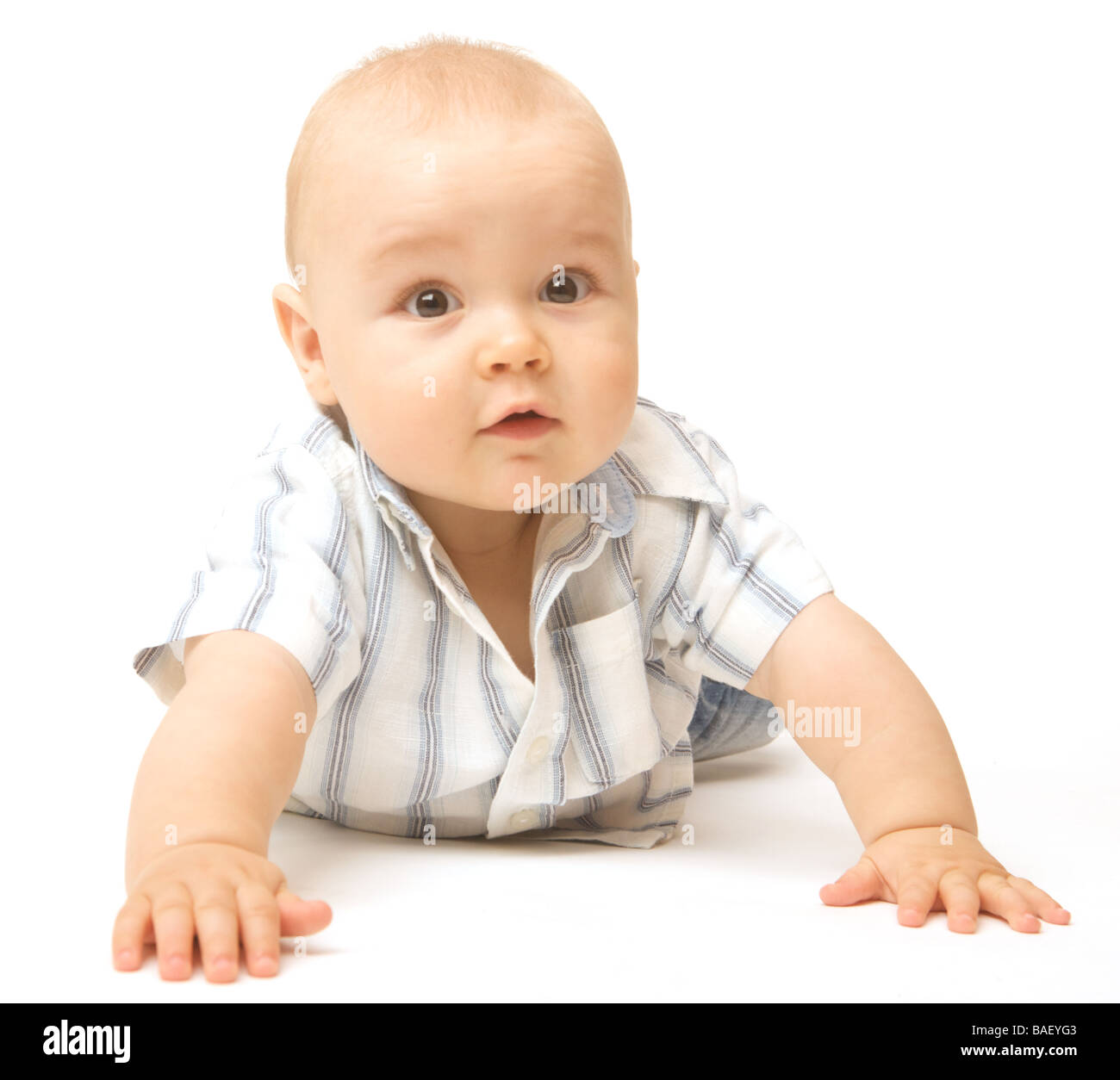 A baby crawls forward on a white background Stock Photo - Alamy