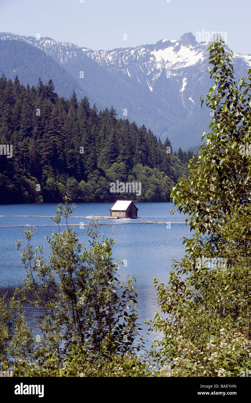 Capilano Lake - Capilano River Regional Park - North Vancouver, British ...