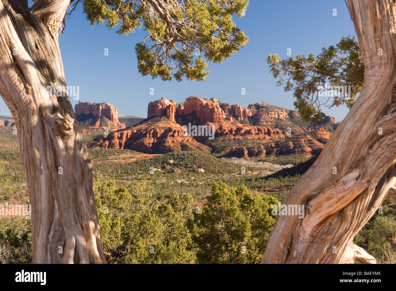 View of Cathedral Rock framed by trees - Sedona, Arizona Stock Photo ...