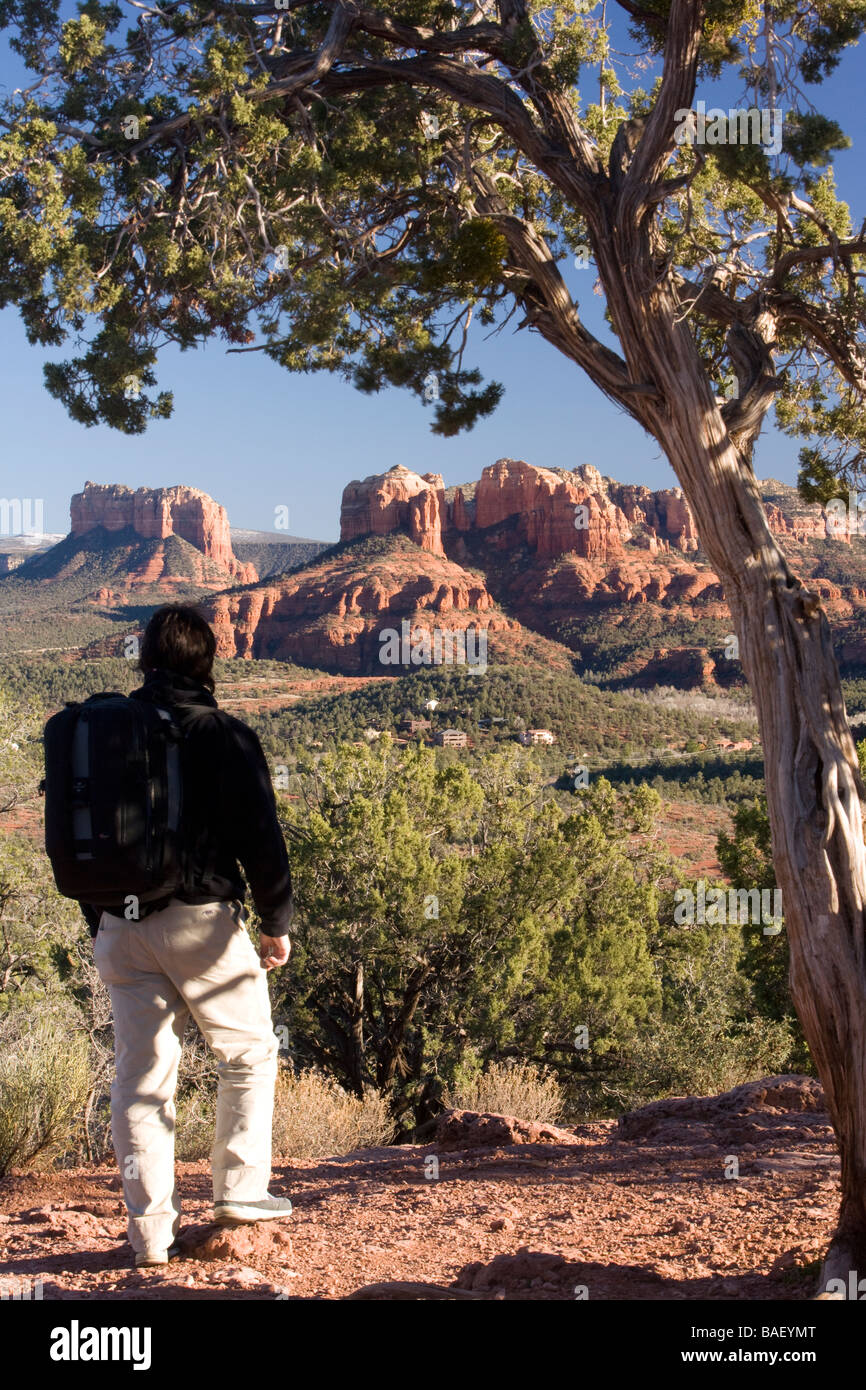 View of Cathedral Rock framed by tree - Sedona, Arizona Stock Photo - Alamy