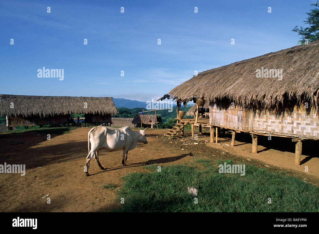Lahu village thailand hi-res stock photography and images - Alamy