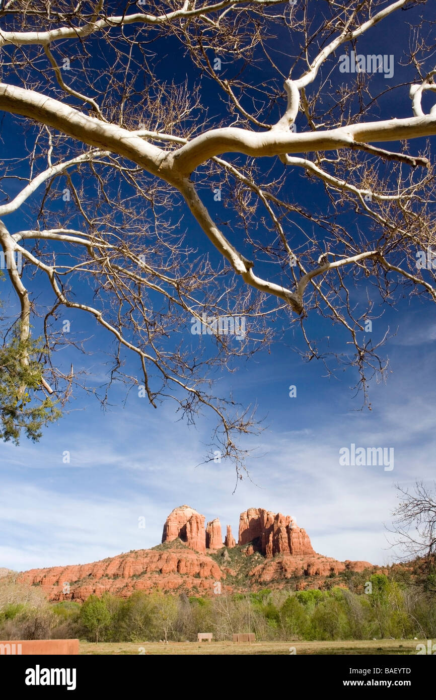 Cathedral Rock View at Crescent Moon Ranch - Sedona, Arizona Stock ...