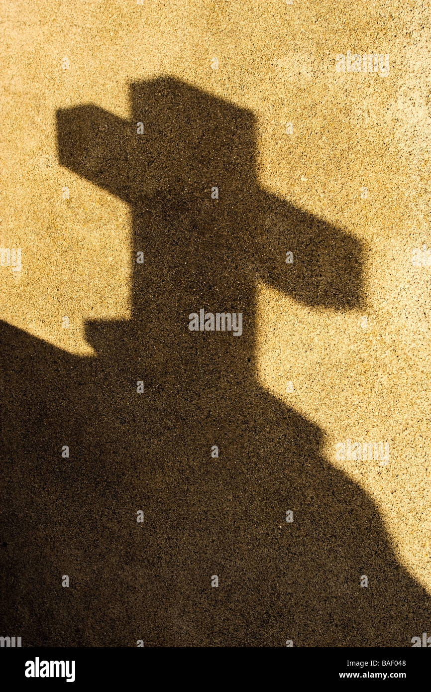 Shadow of a cross at Punta Arenas Cemetery - Punta Arenas, Chile Stock ...