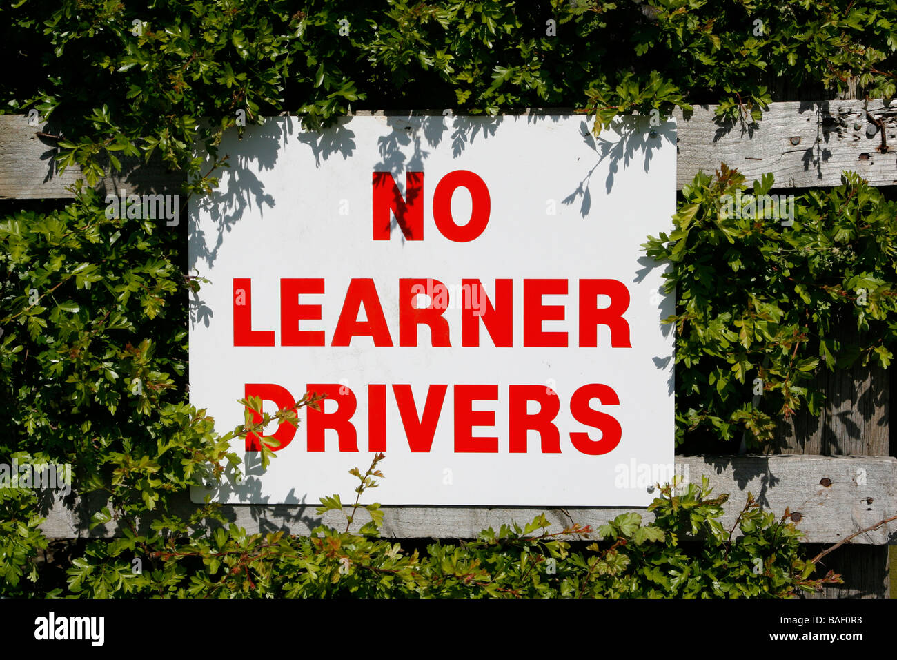 UK sign saying "No Learner Drivers Stock Photo - Alamy