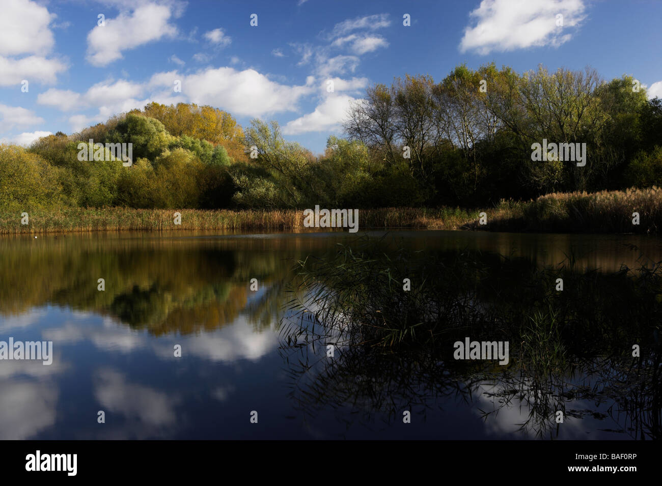 Byfield Reservoir, Northampton, Northamptonshire, England, UK Stock ...