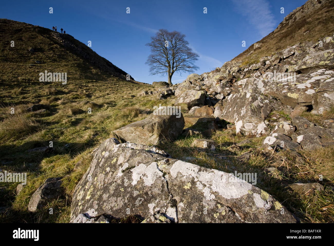 Hadrians Wall Near Cragg Lough Northumberland England Stock Photo - Alamy