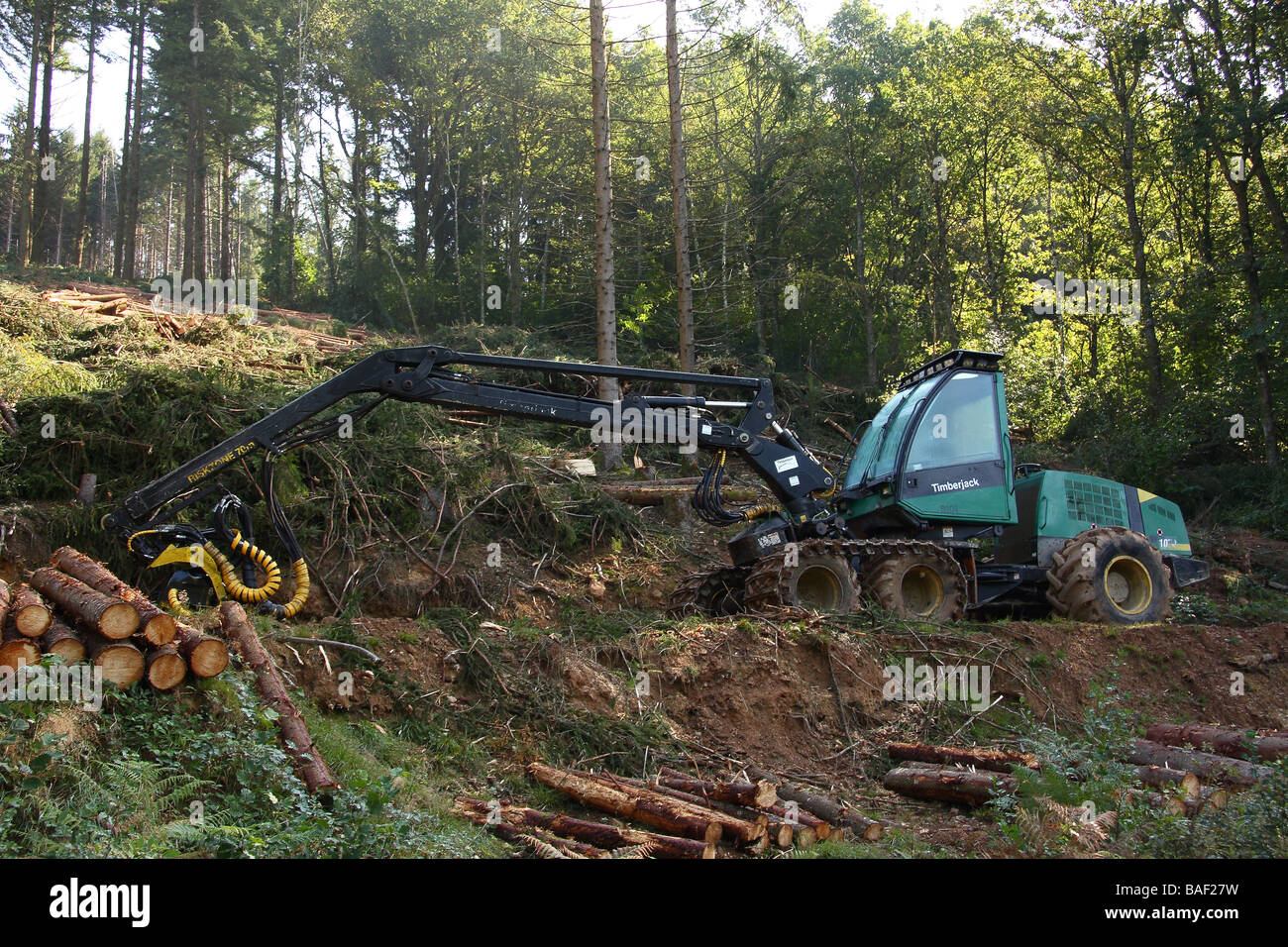 Timberjack hi-res stock photography and images - Alamy