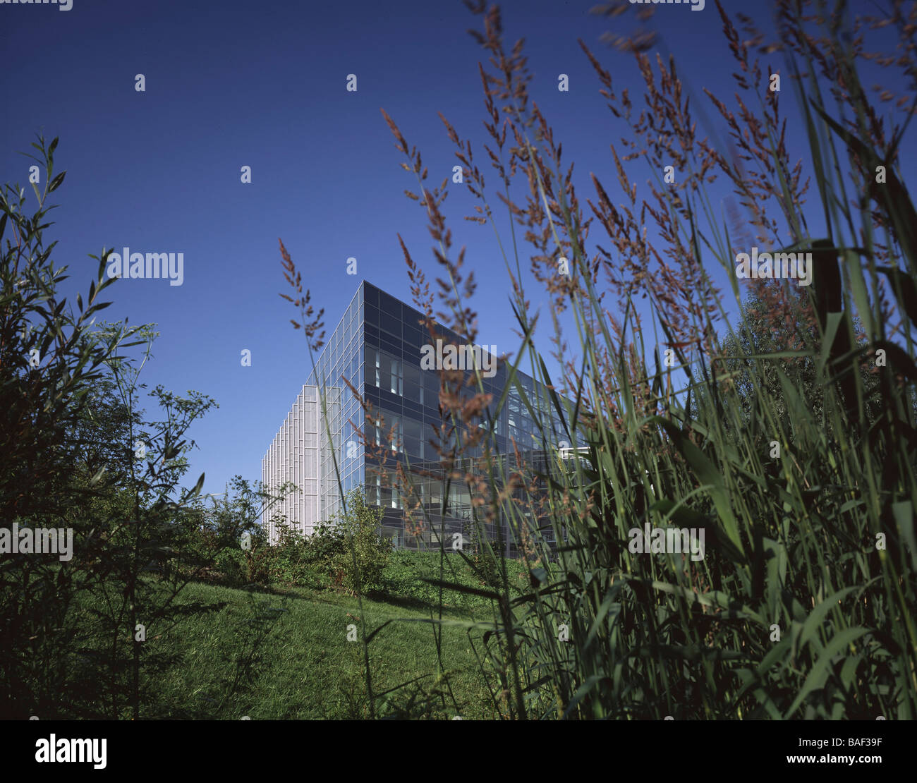 100 brook drive green park reading hi-res stock photography and images ...