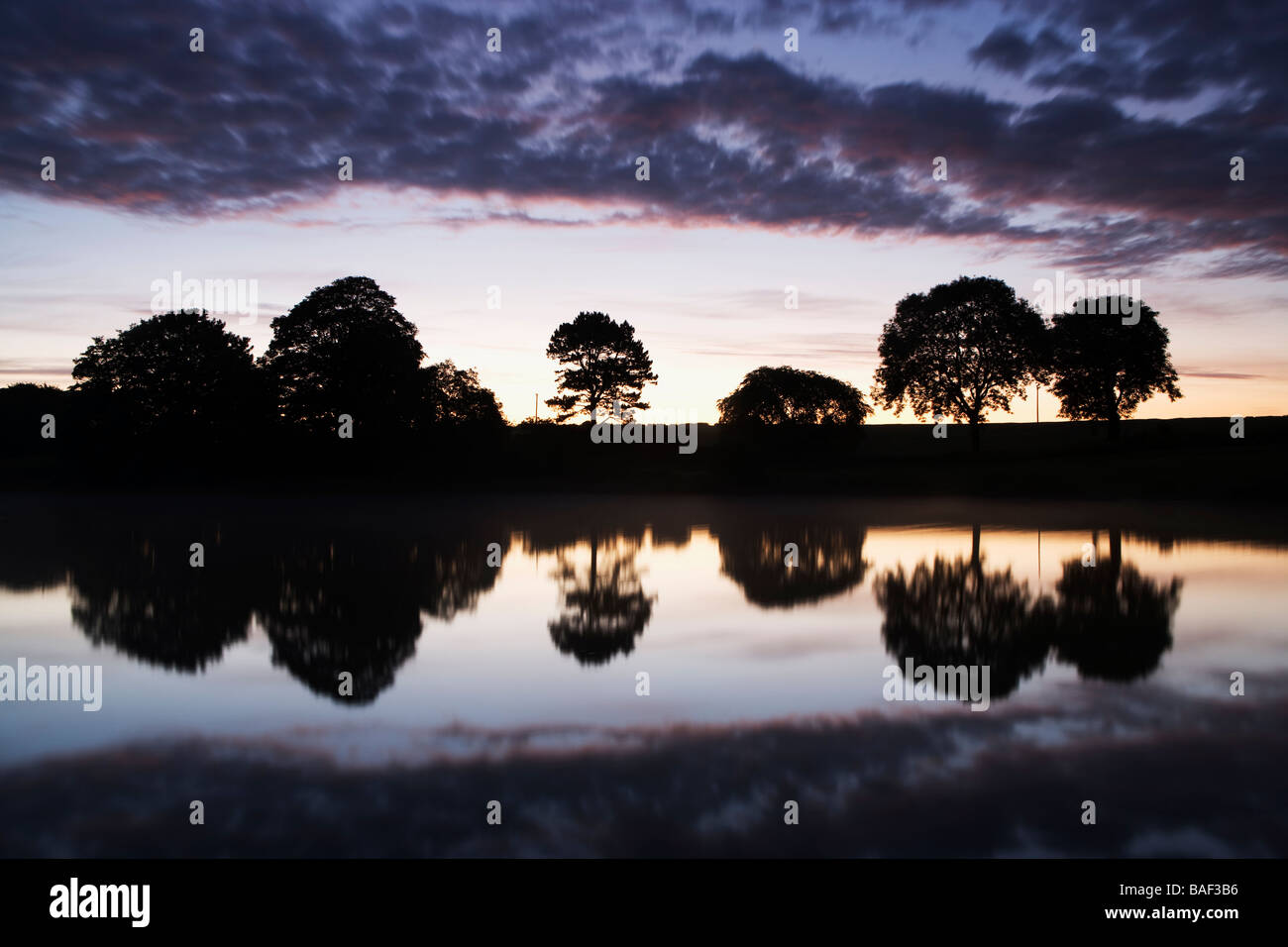 Trees, Sywell Reservoir, Sywell, Northamptonshire, England, UK Stock ...