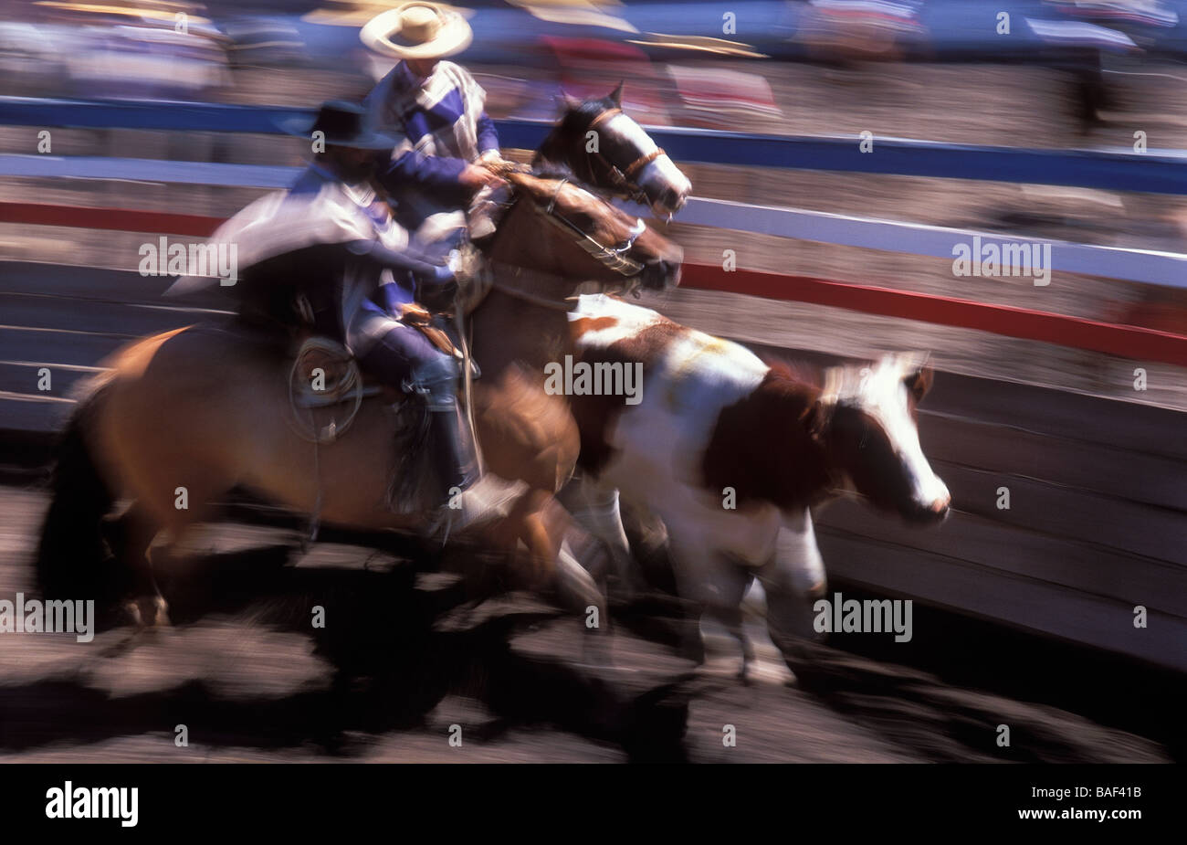 Rodeo bravery hi-res stock photography and images - Alamy