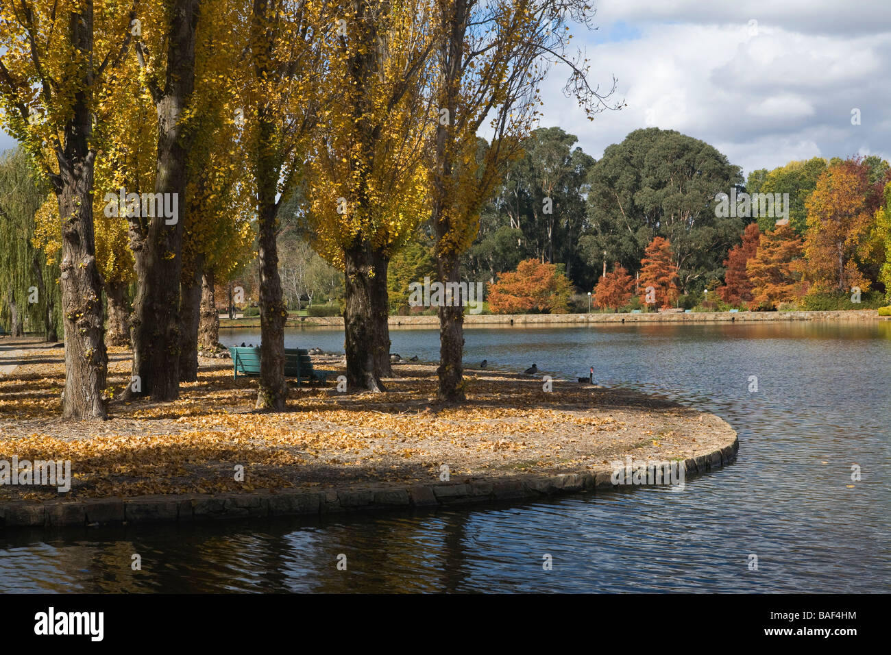 Autumn colours in Commonwealth Park, Canberra, Australian Capital ...