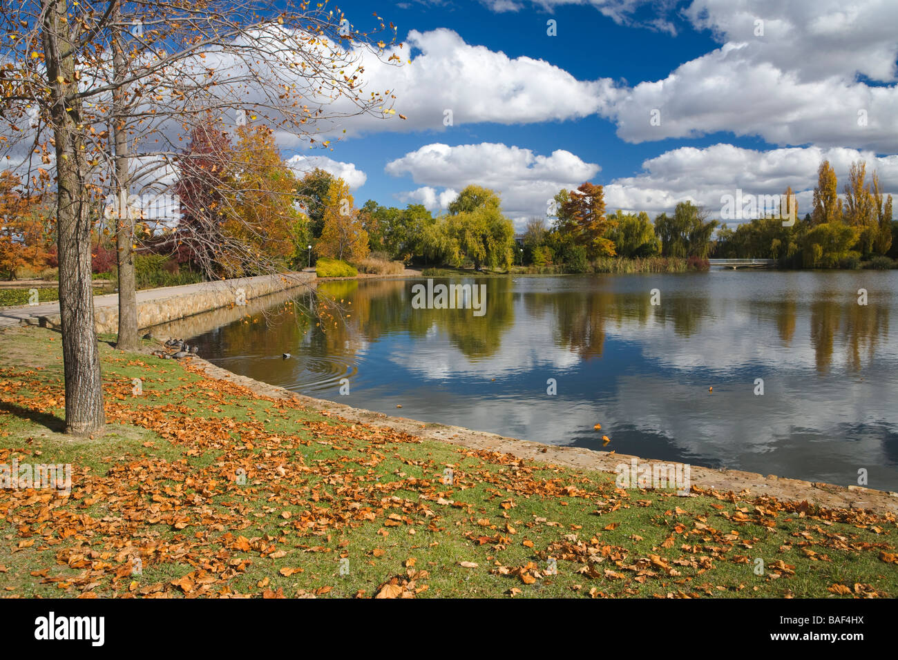 Autumn colours in Commonwealth Park, Canberra, Australian Capital ...