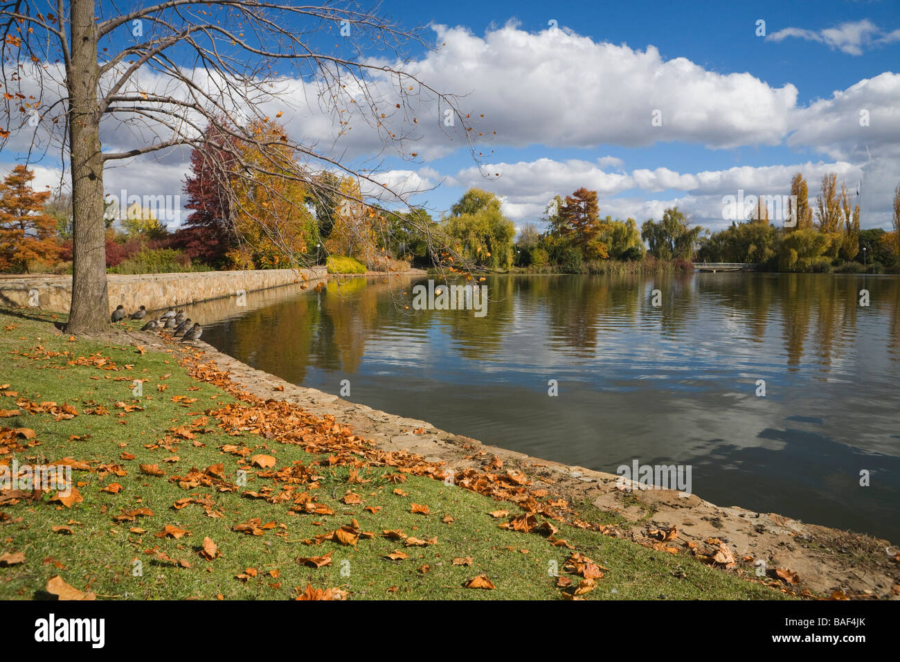 Autumn colours in Commonwealth Park, Canberra, Australian Capital ...