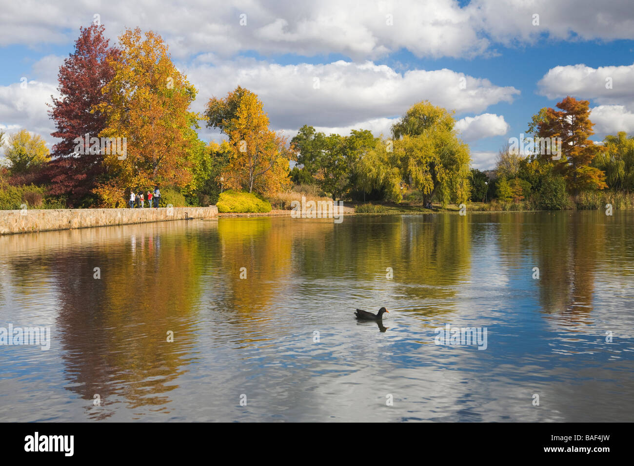 Autumn colours in Commonwealth Park, Canberra, Australian Capital ...
