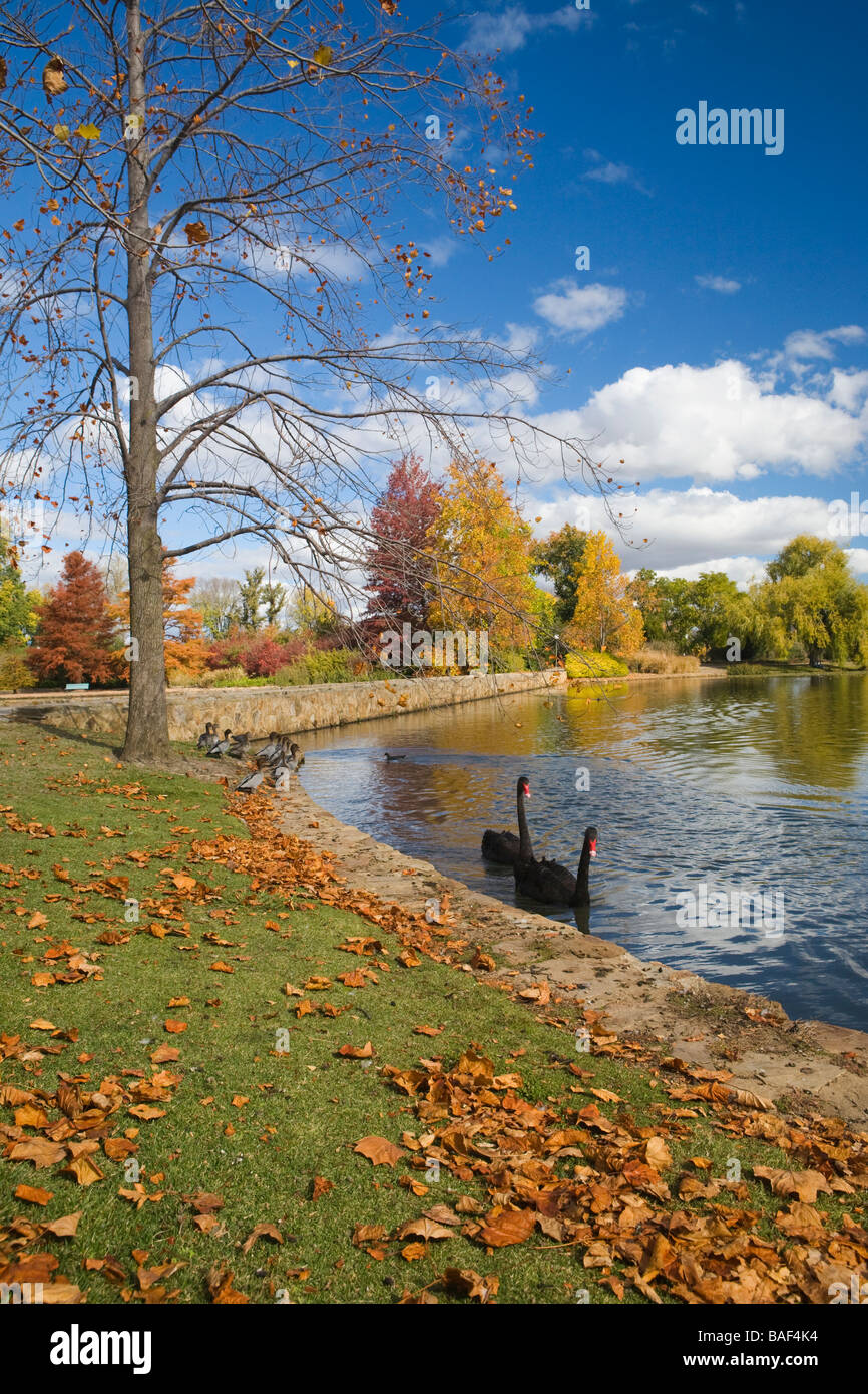 Canberra, australia, lake hi-res stock photography and images - Alamy