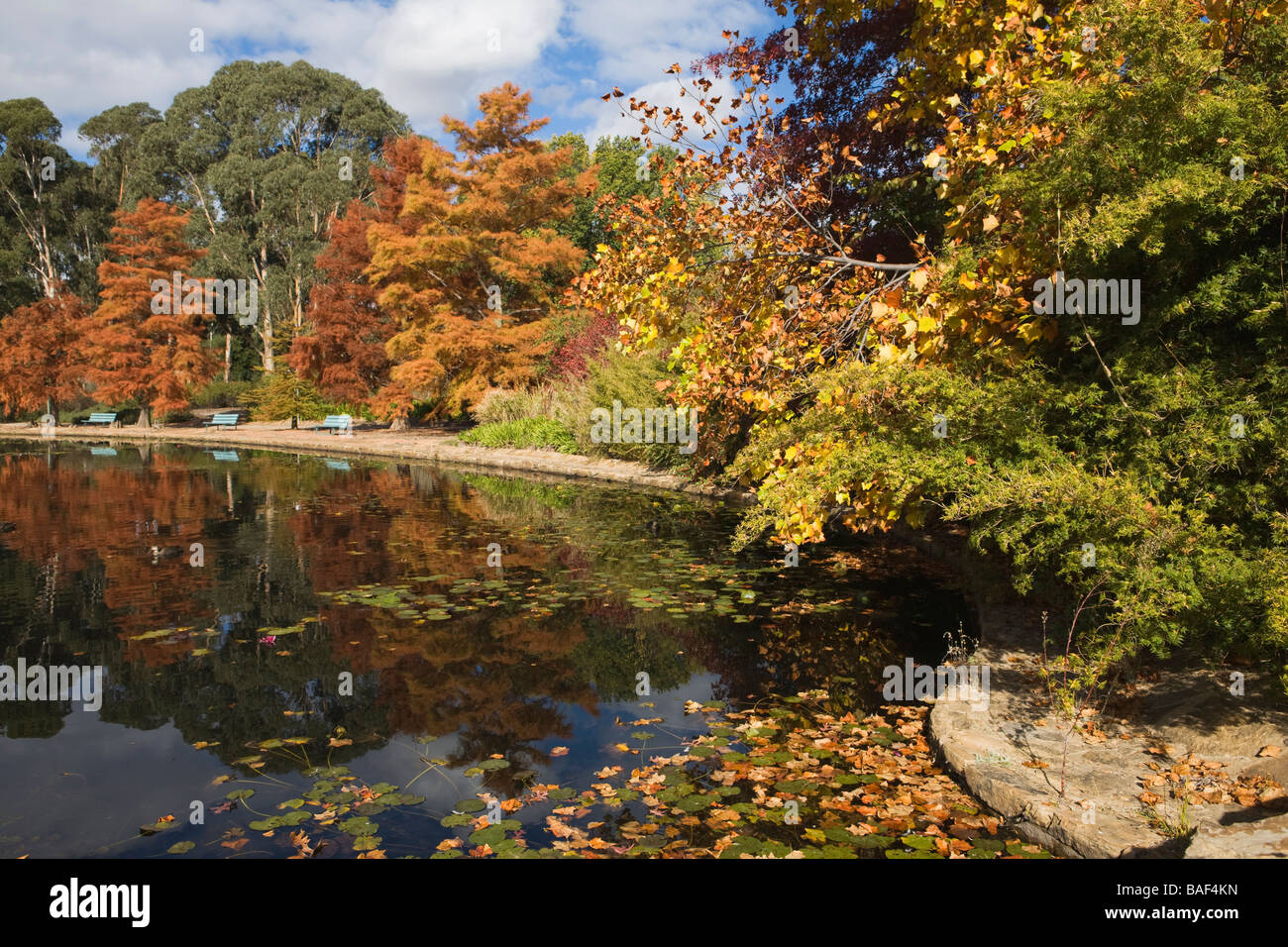 Autumn colours in Commonwealth Park, Canberra, Australian Capital ...