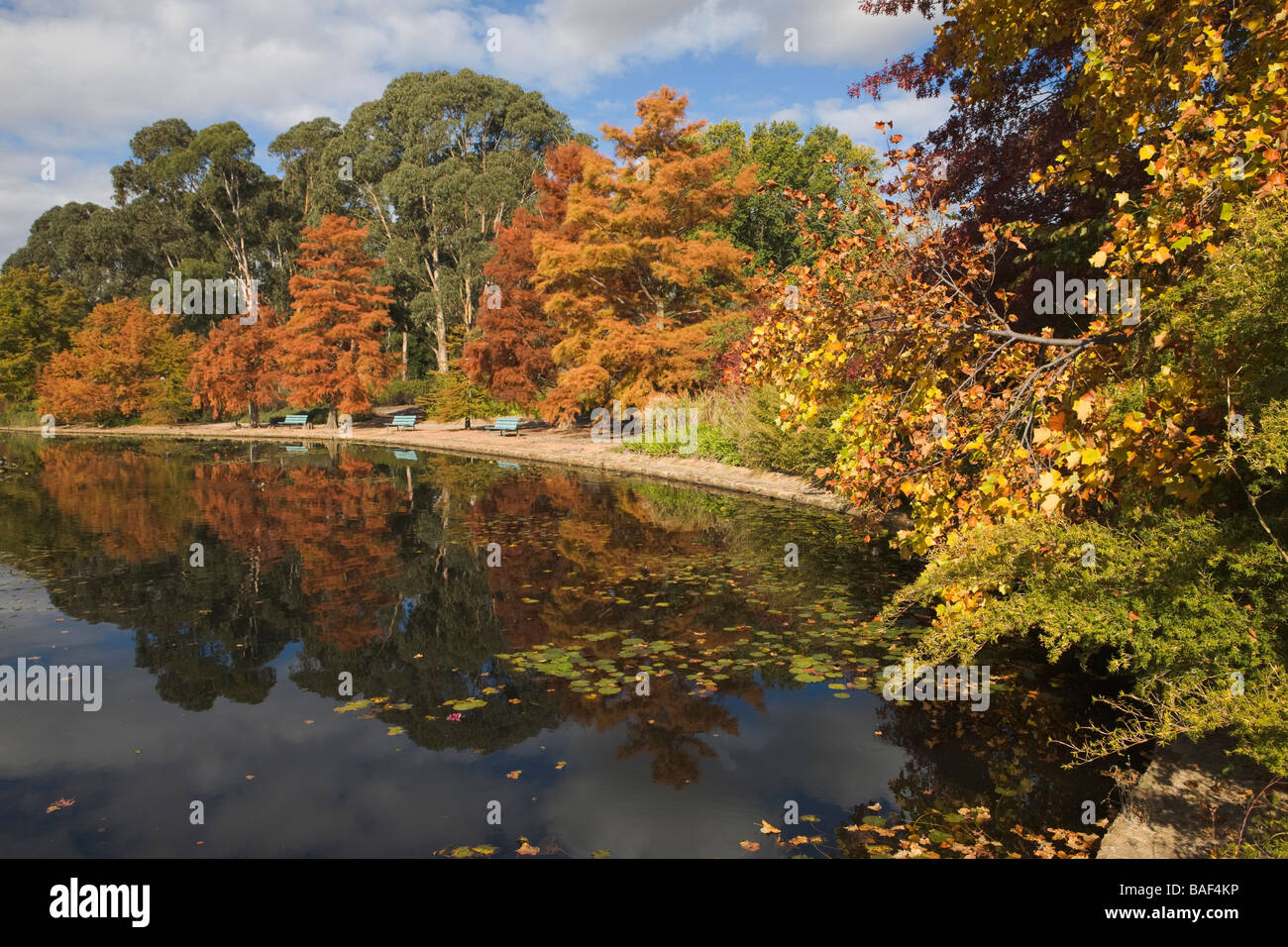 Autumn colours in Commonwealth Park, Canberra, Australian Capital ...