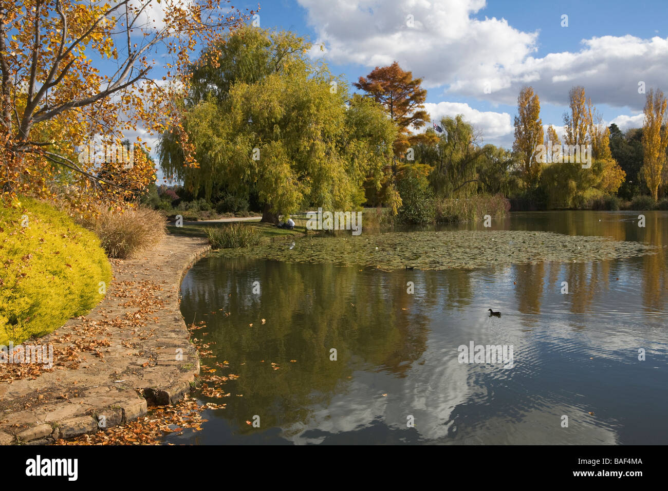 Autumn colours in Commonwealth Park, Canberra, Australian Capital ...