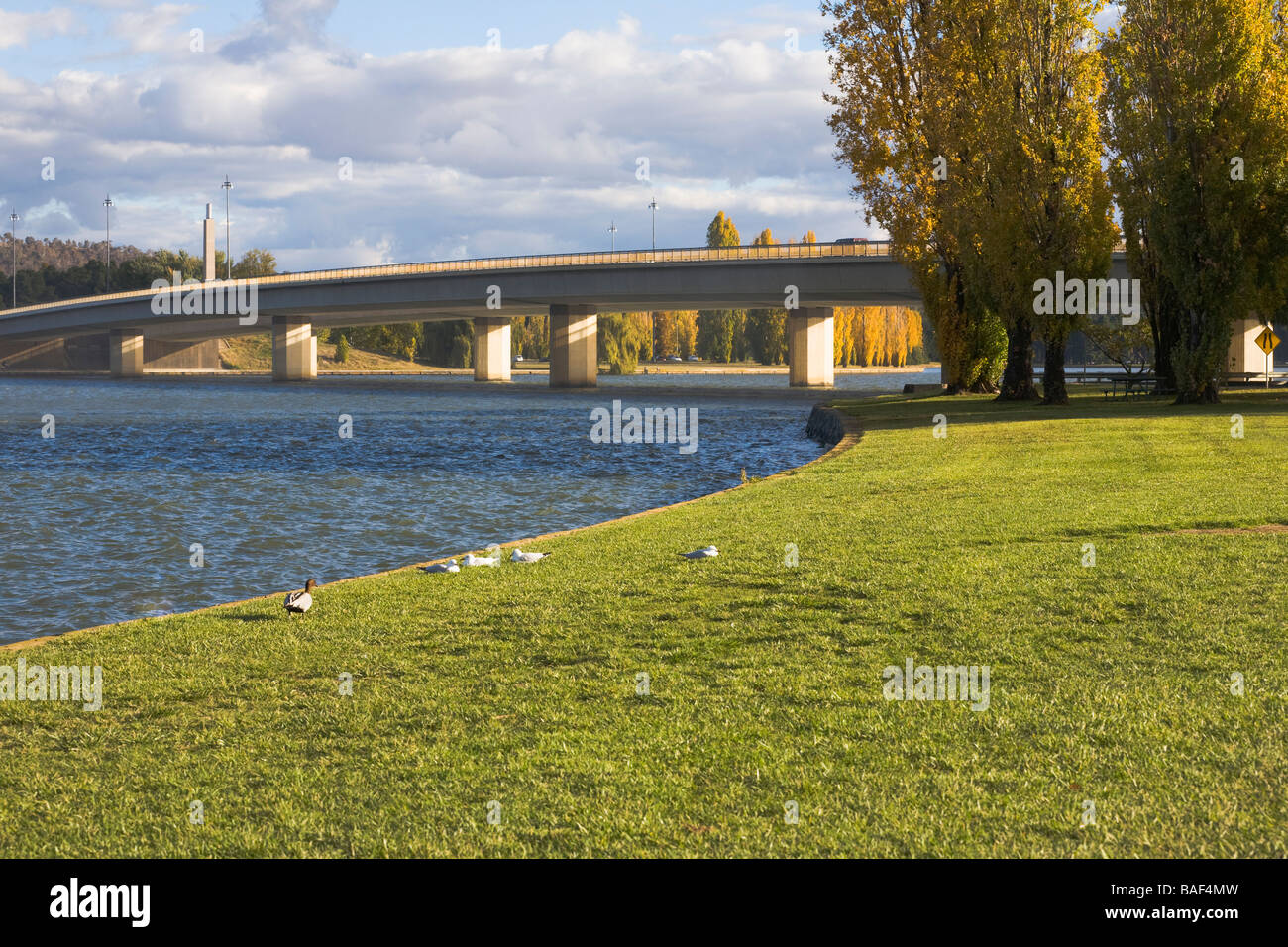 Commonwealth bridge hi-res stock photography and images - Alamy