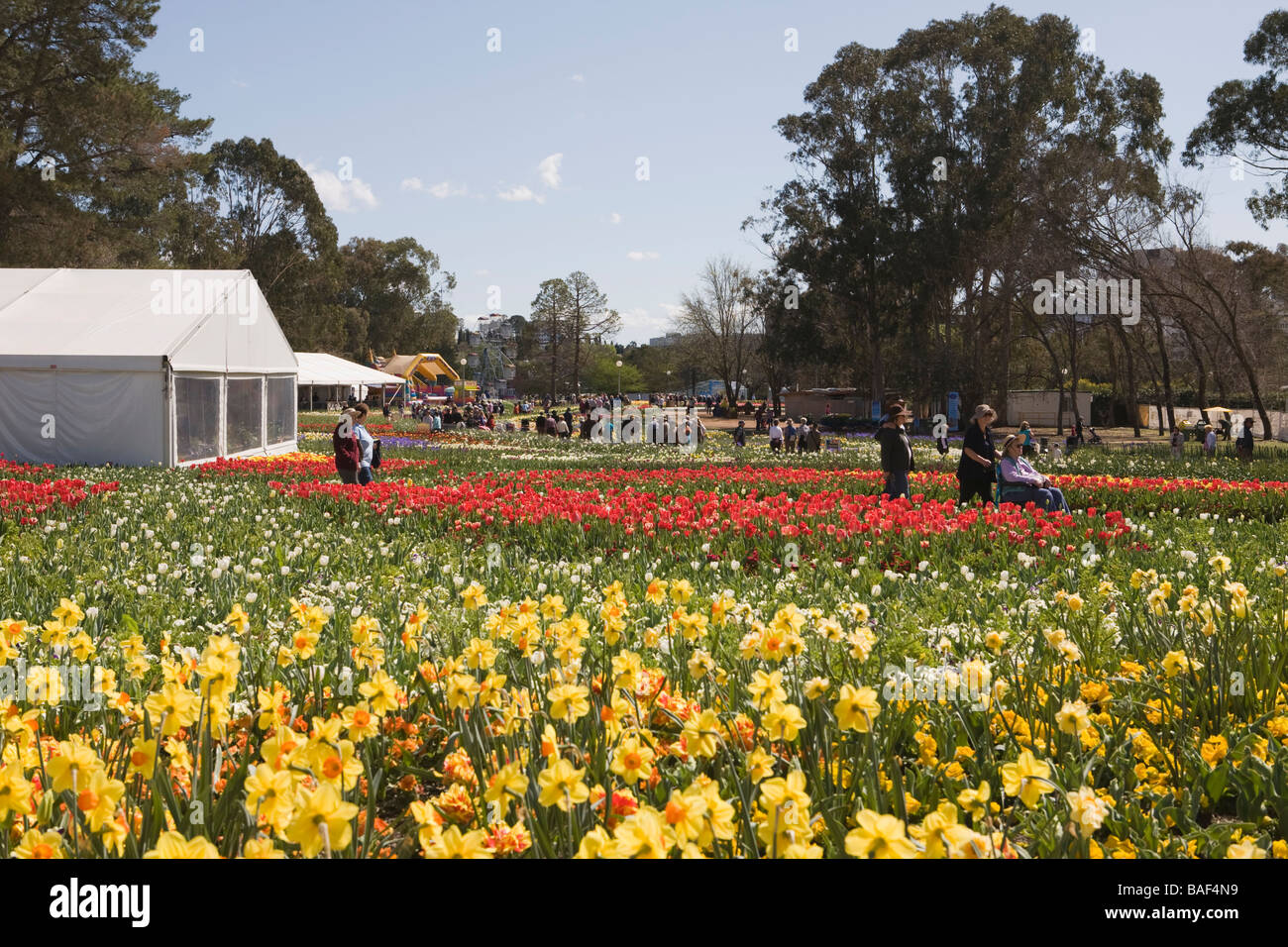 Floriade, canberra australia hi-res stock photography and images - Alamy