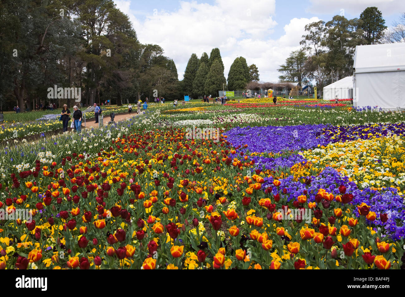 Hillside floral spectacular, Commonwealth park, Canberra, Australian ...